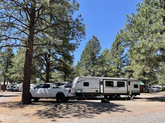 WILLIAMS / EXIT 167 / CIRCLE PINES KOA - Updated May 2025 - 123 Photos ...