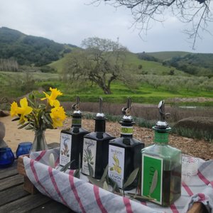 MCEVOY RANCH - 319 Photos & 45 Reviews - Wine Tasting Room - 5935 Red ...