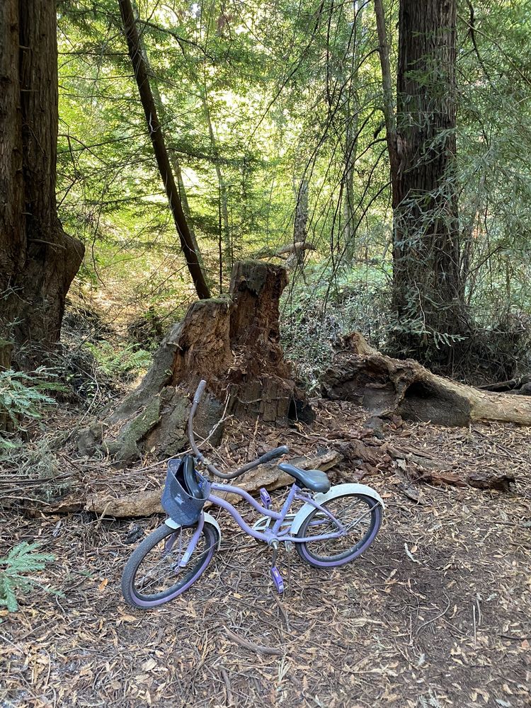 POGONIP with photos - Updated August 2024 - 225 Photos & 40 Reviews ...