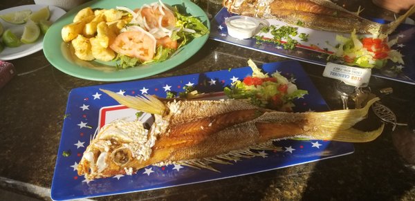 SONIA’S SEAFOOD RESTAURANT - 109 Photos & 80 Reviews - Seafood Markets ...