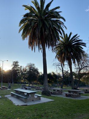 FARNSWORTH PARK - 46 Photos & 19 Reviews - 568 E Mount Curve Ave ...