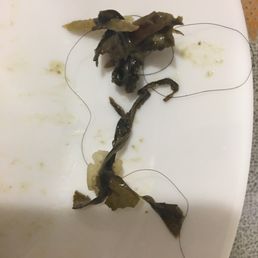 CHOW FUN EXPRESS - Updated December 2025 - 81 Photos & 64 Reviews - 148 ...