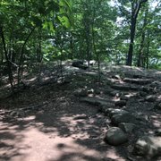 PALISADES INTERSTATE PARK STATE LINE LOOKOUT - 324 Photos & 57 Reviews ...