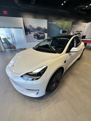 TESLA CARS - 34 Photos & 53 Reviews - 135 US-22, Springfield, New ...