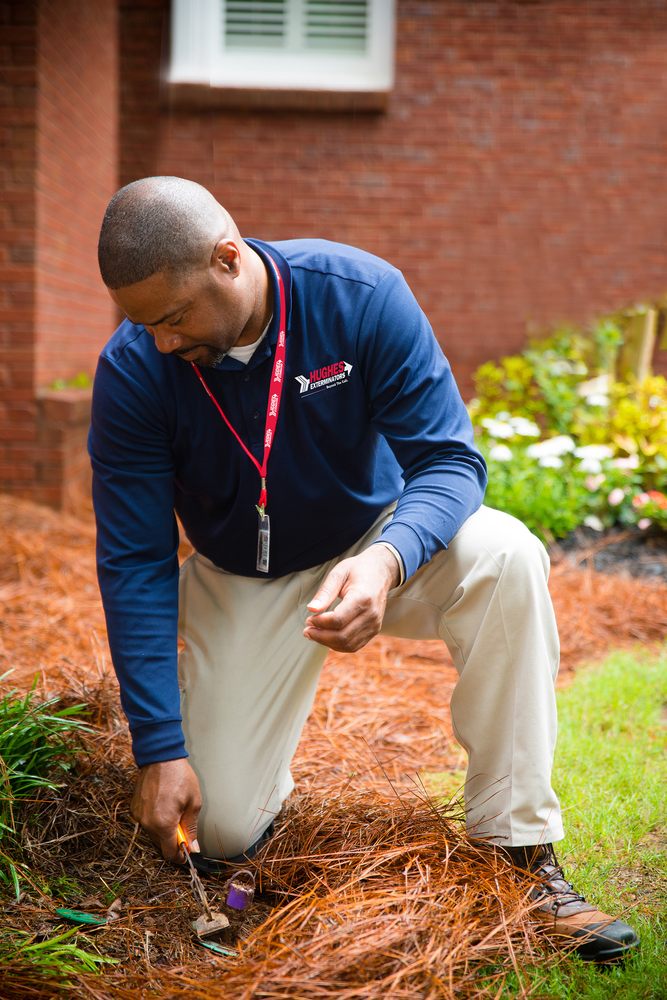 HUGHES EXTERMINATORS - Updated July 2025 - Request a Quote - 3790 N ...