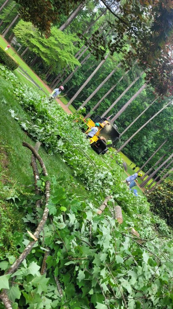 MJ NAVARRO LANDSCAPING - 20 Photos - Triangle, Virginia - Landscaping ...