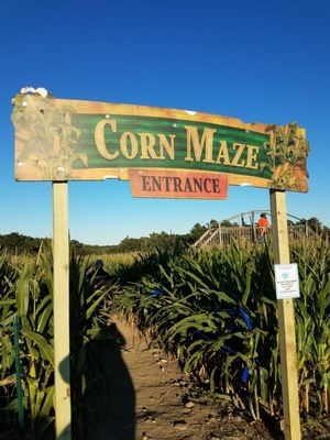 MARINI FARM CORN MAZE - Updated September 2024 - 17 Photos & 32 Reviews ...