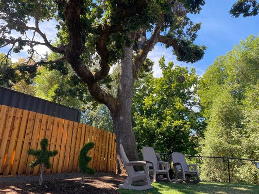 RUSTIC MELT - Updated October 2025 - 12 Reviews - 311 N Water St ...