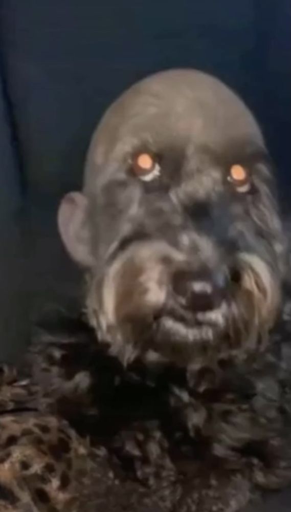 ED’S PET WORLD - Updated December 2025 - 206 N Main St, Mitchell, South ...