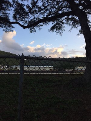 KALANI HIGH SCHOOL - Updated December 2025 - 35 Photos & 10 Reviews ...