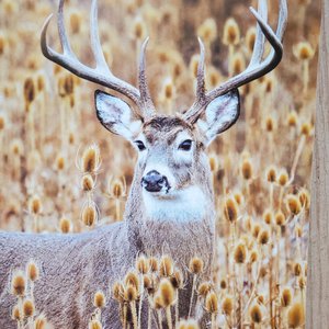 EXILE ARMORY - Updated September 2025 - 205 Main St, Weaver, Alabama ...