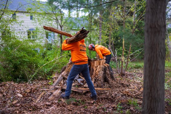 K&J TREE SERVICE - Updated July 2025 - 61 Photos & 35 Reviews - 2 ...