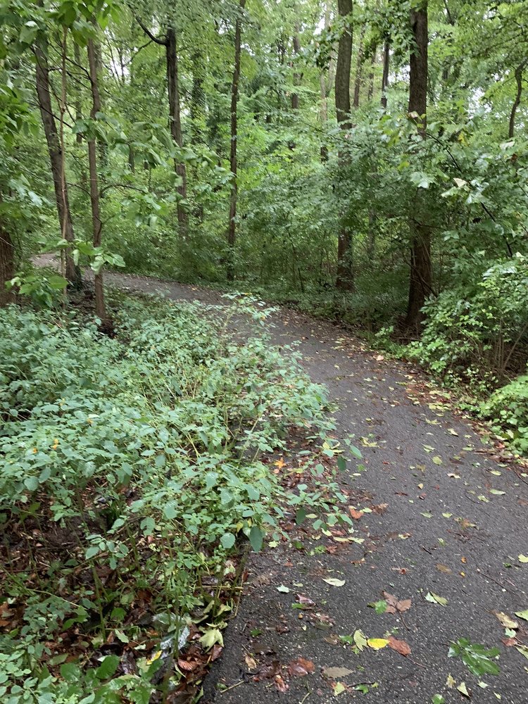 TALLEY DAY PARK - Updated April 2026 - 11 Photos - 1308 Foulk Rd ...