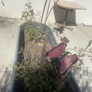 DIAMOND RIDGE HEALTHCARE CENTER - Updated December 2025 - 17 Reviews ...