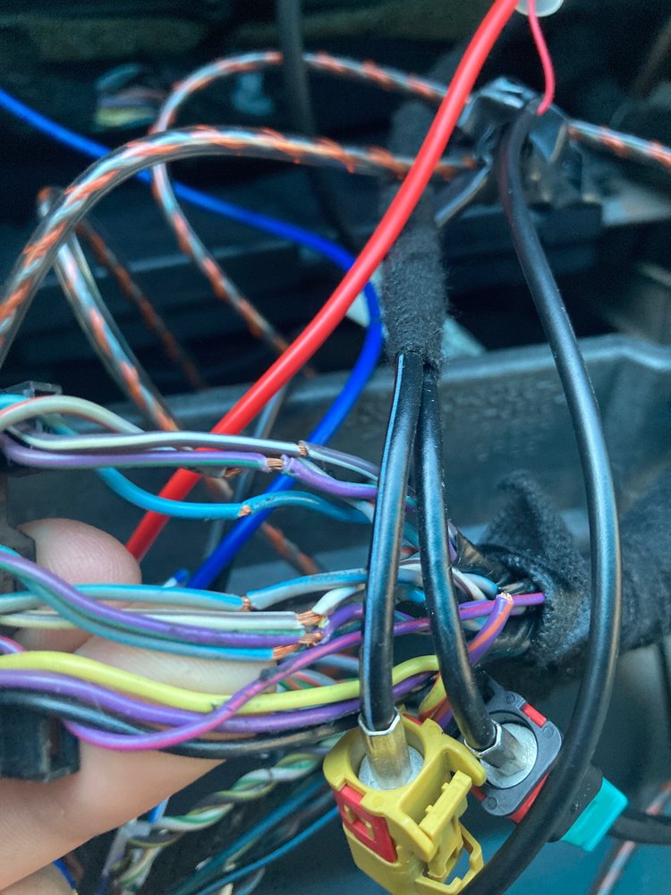 Pro Audio Wheels and Tires, Santa Ana | Roadtrippers