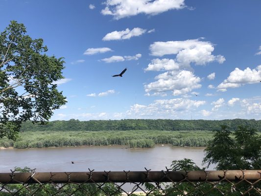 EAGLE POINT PARK - Updated May 2024 - 65 Photos & 26 Reviews - Southern ...