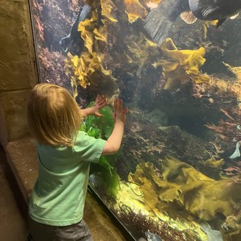 LONG ISLAND AQUARIUM - Updated December 2025 - 1198 Photos & 347 ...