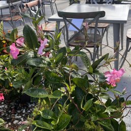 VELCHOFF’S CORNER - Updated April 2025 - 121 Photos & 80 Reviews - 105 ...
