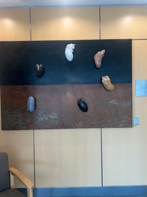 MASSACHUSETTS GENERAL HOSPITAL YAWKEY OUTPATIENT CARE CENTER - Updated ...