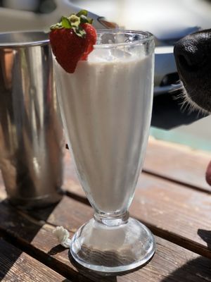 SALLY LOO’S WHOLESOME CAFE - 676 Photos & 770 Reviews - Cafes - 1804 ...