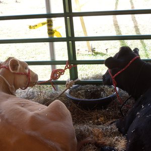 GOZZI’S TURKEY FARMS - Updated December 2025 - 53 Photos & 31 Reviews ...