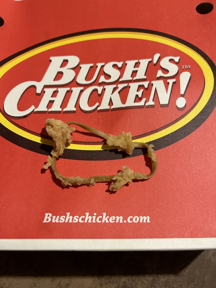 BUSH’S CHICKEN - Updated October 2025 - 28 Photos & 19 Reviews - 126 W ...