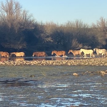 COON BLUFF - Updated December 2025 - 49 Photos & 13 Reviews - Coon ...