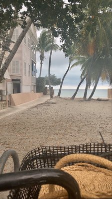 KEY WEST DOG BEACH - 34 Photos & 23 Reviews - Vernon St And Waddell Ave ...