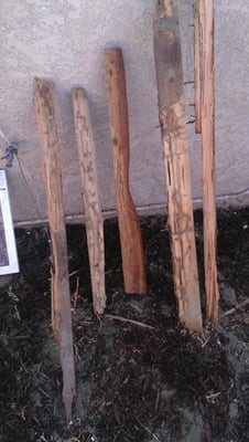 BELL TERMITE AND PEST CONTROL - Updated January 2026 - 52 Photos & 107 ...