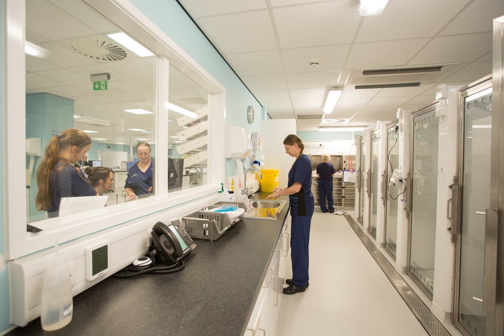 VETS NOW HOSPITAL MANCHESTER - Updated August 2025 - 12 Photos - 98 ...