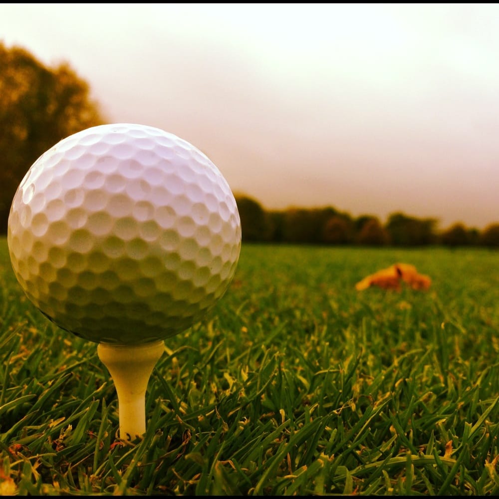 ELMGREEN GOLF CENTRE - Sports Clubs - Castleknock, Co. Dublin, Republic ...