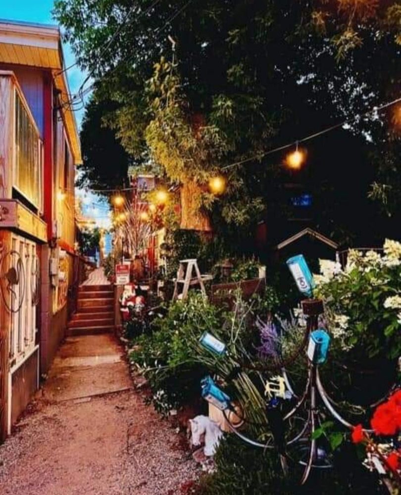 ALLI BAR - Updated September 2024 - 18 Photos - 17 S Ridge St, Port ...