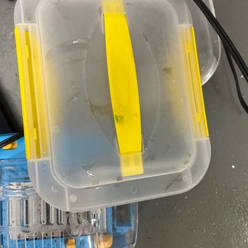 U-HAUL MOVING & STORAGE - VICTORIA - Updated December 2025 - 27 Photos ...