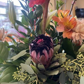 THE GARDEN OF RENO - Updated May 2024 - 356 Photos & 88 Reviews - 700 S ...