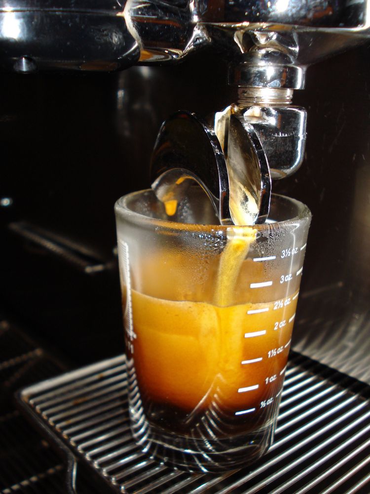 FRESH CUP ROASTERY CAFE - Updated December 2025 - 104-1931 Mount Newton ...