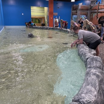 BLUE ZOO AQUARIUM BATON ROUGE - Updated June 2025 - 148 Photos & 25 ...