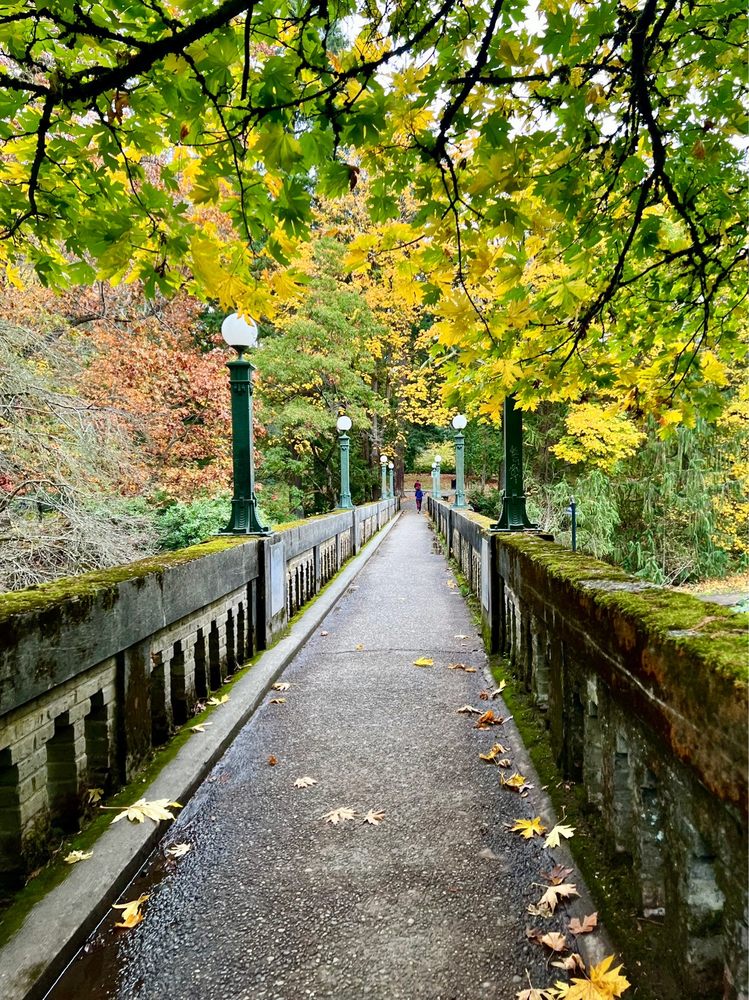 WASHINGTON PARK ARBORETUM - 842 Photos & 265 Reviews - 2300 Arboretum ...