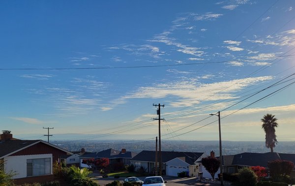 CITY OF SAN LEANDRO - 71 Photos & 40 Reviews - 835 E 14th St, San ...