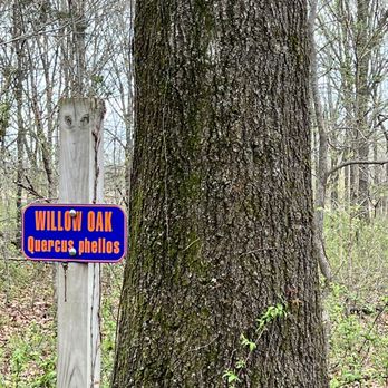 BIG CYPRESS TREE STATE PARK - Updated December 2025 - 20 Photos - 295 ...