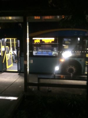 MTA-B44 BUS - Updated September 2024 - 18 Photos - 258 Nostrand Ave ...