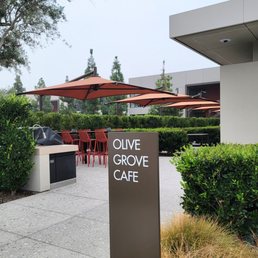 OLIVE GROVE CAFE - Updated July 2025 - 116 Photos & 45 Reviews - 150 ...