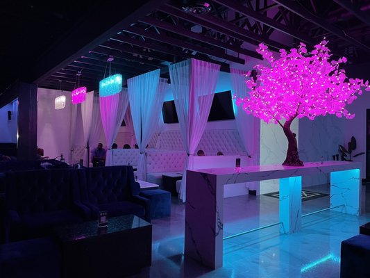 MOXIE ULTRA LOUNGE - 74 Photos & 48 Reviews - Food near Las Vegas, NV ...