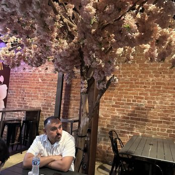 SAKU RAMEN - Updated December 2024 - 645 Photos & 889 Reviews - 3643 ...