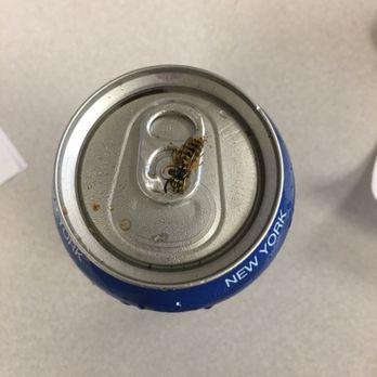 NEW WIN WAY RESTAURANT - Updated September 2025 - 12 Photos & 22 ...