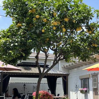 THE CLASSIC CAFE - Updated August 2024 - 321 Photos & 146 Reviews - 419 ...