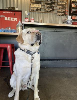 OLD CAZ BEER - Updated April 2025 - 21 Photos & 14 Reviews - 1500 ...