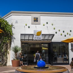 CHA FOR TEA - UNIVERSITY CENTER - Updated June 2025 - 1116 Photos ...