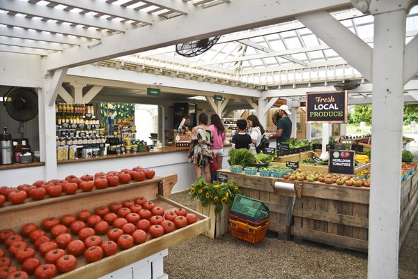 HARBES FAMILY FARM & VINEYARD - TEMP. CLOSED - 714 Photos & 261 Reviews ...