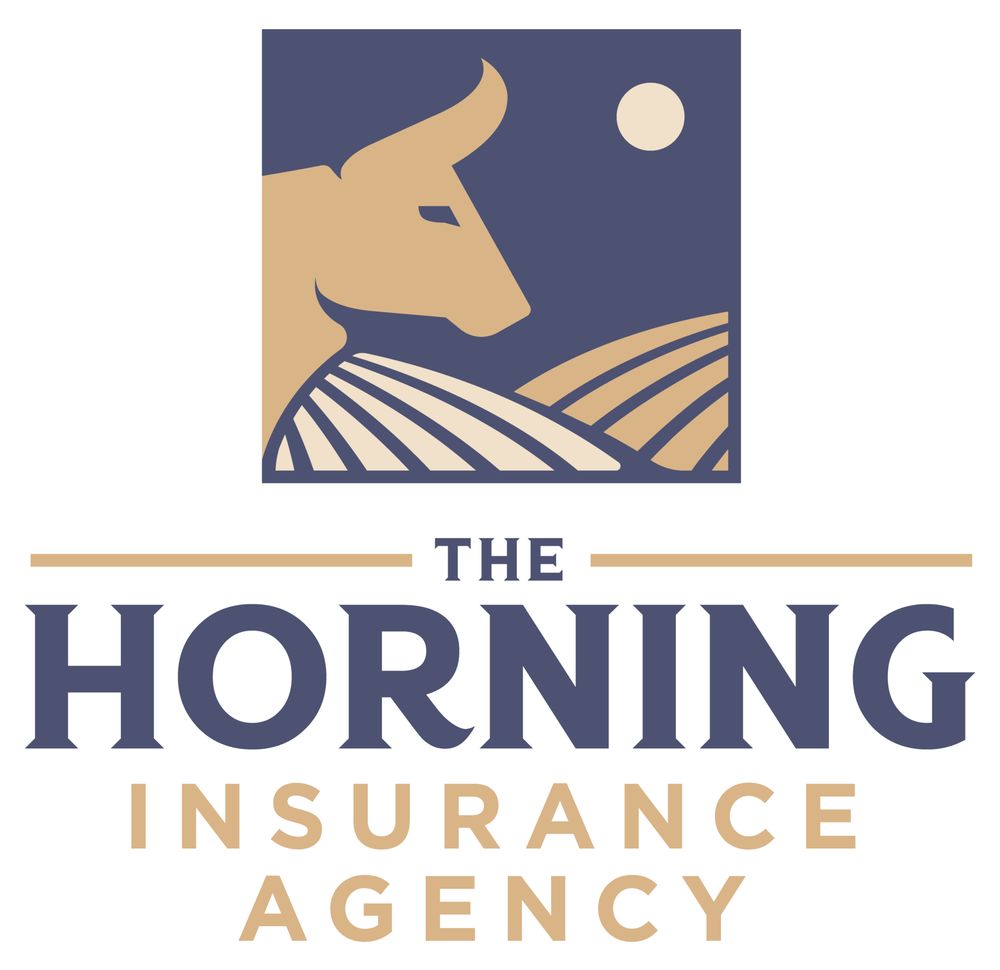 THE HORNING INSURANCE AGENCY - Updated April 2025 - 903 Main St ...