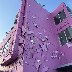 ASTRA - 762 Photos & 686 Reviews - 2121 NW 2nd Ave, Miami, Florida ...